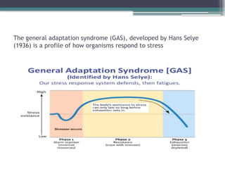 Stress management model and explanation.pptx