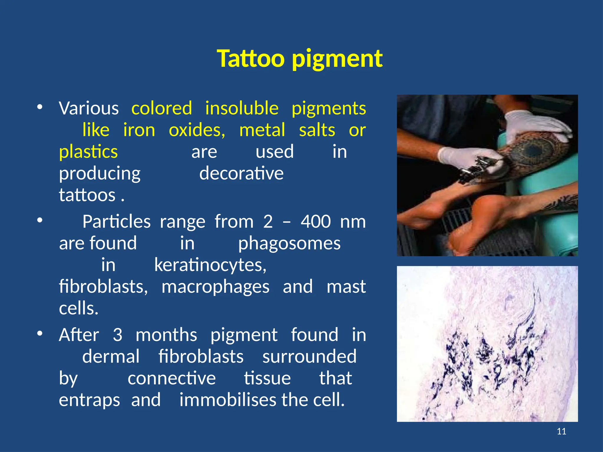 pigment and its stain in histopathology.pptx