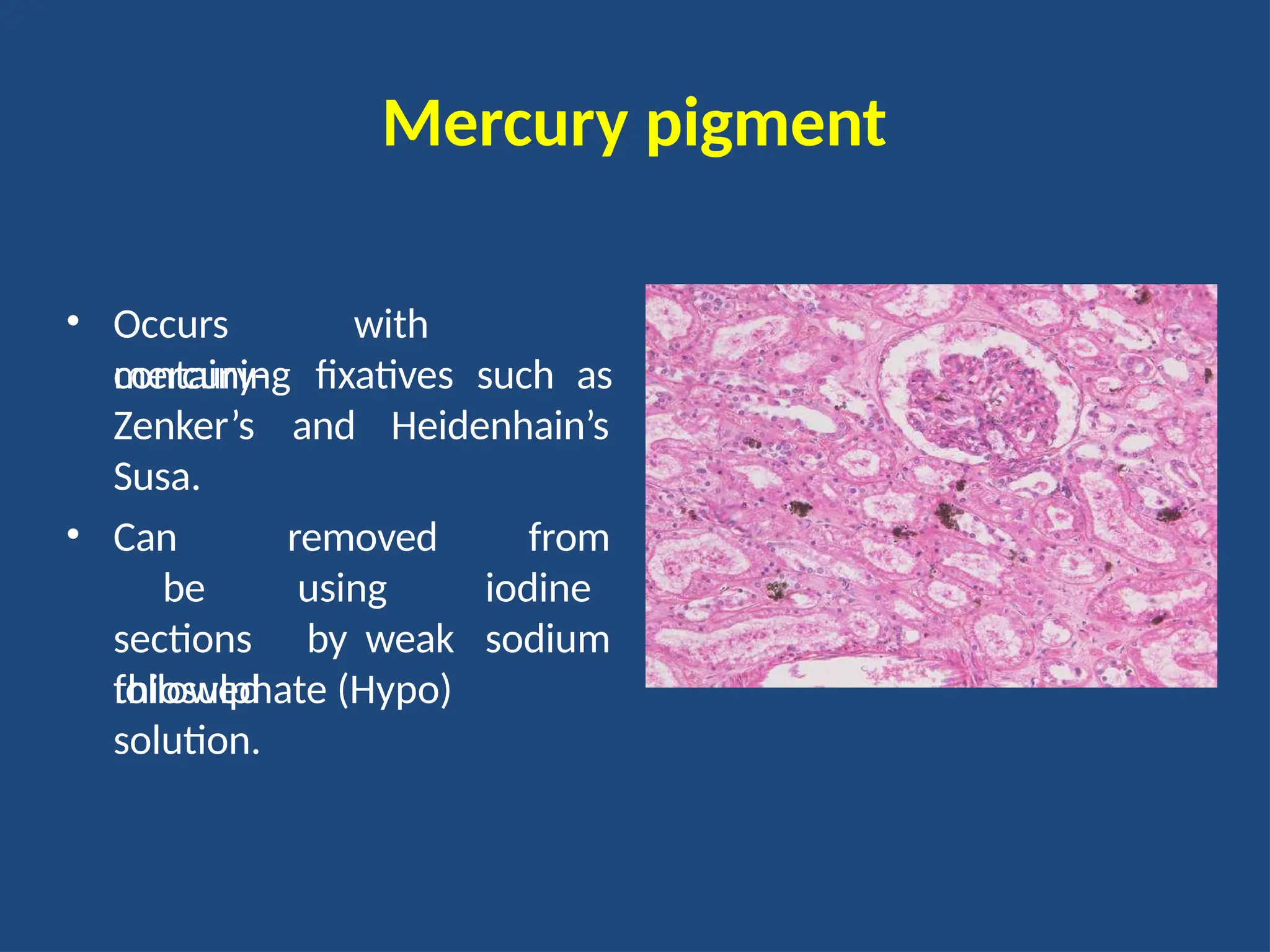 pigment and its stain in histopathology.pptx