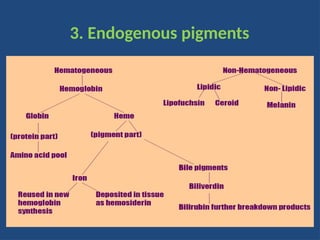 pigment and its stain in histopathology.pptx