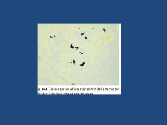 pigment and its stain in histopathology.pptx