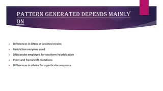 Restriction Fragment Length Polymorphism;RFLP;PPT | PDF | Genetics ...