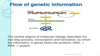 ppt. Genetic Code molecular biology.pptx