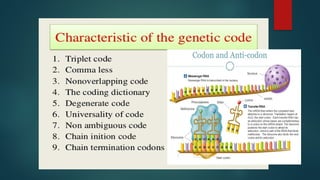 ppt. Genetic Code molecular biology.pptx