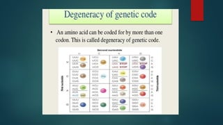 ppt. Genetic Code molecular biology.pptx