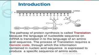 ppt. Genetic Code molecular biology.pptx