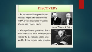 ppt. Genetic Code molecular biology.pptx