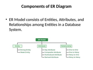 Entity Relationship Diagram - DBMS - PPT | PPTX