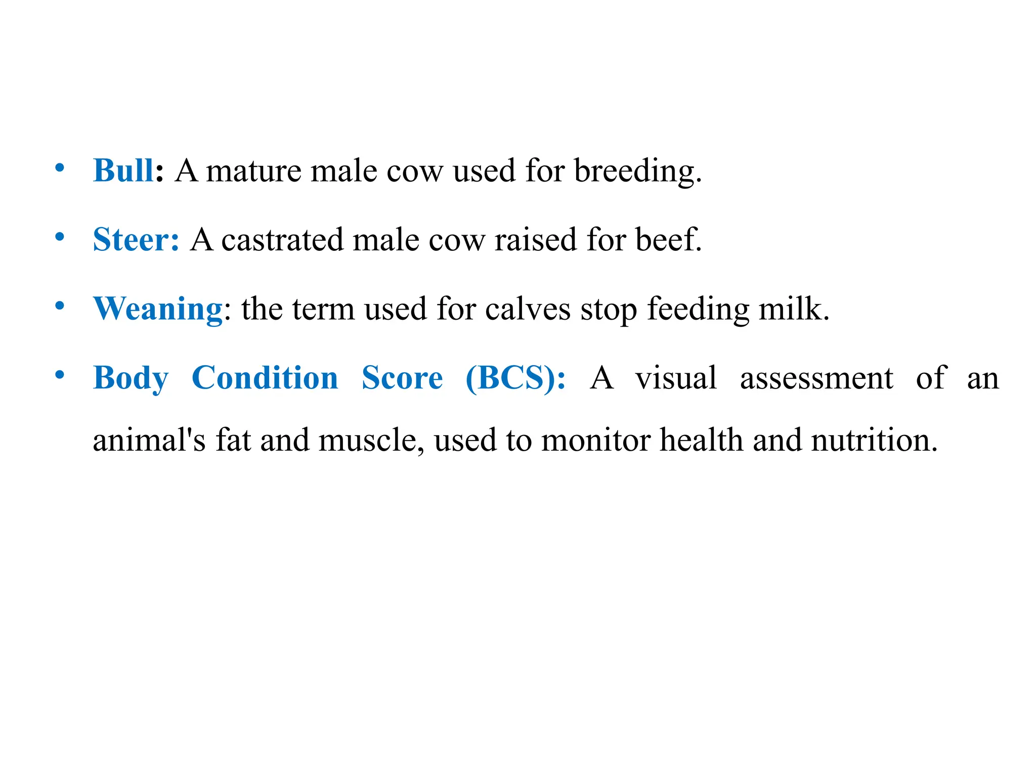 dairy and beef cattle production module 1 | PPTX