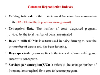 dairy and beef cattle production module 1 | PPTX