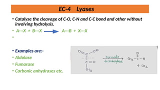 ppt.pptxdasfahs lihalsdbgasdgofgSOHASDFYIUS | PPT