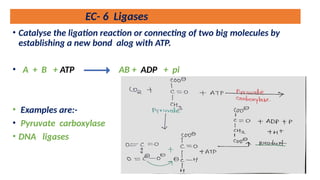 ppt.pptxdasfahs lihalsdbgasdgofgSOHASDFYIUS | PPT