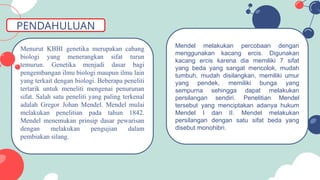 PPT. Hukum Mendel. Penggunaan Biji Kacang Tanah sebagai Alternatif ...