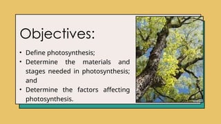 GRADE 7 SCIENCE PHOTOSYNTHESIS PPT.pptx
