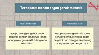 organ gerak manusia pada sekolah dasar.pdf