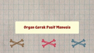 organ gerak manusia pada sekolah dasar.pdf