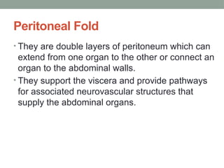 Peritoneum( peritonitis), General surgery | PPTX