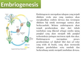 ppt.proses embriogenesis pada tumbuhan.pptx