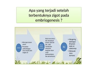ppt.proses embriogenesis pada tumbuhan.pptx