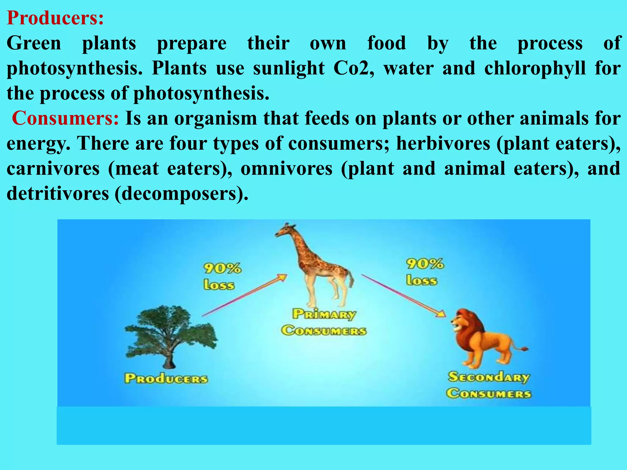 FOOD: WHERE DOES IT COME FROM? - 2 CLASS VI (CBSE) | PPTX