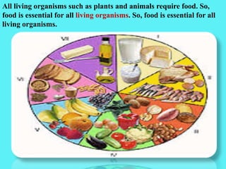 FOOD: WHERE DOES IT COME FROM? - 2 CLASS VI (CBSE) | PPT