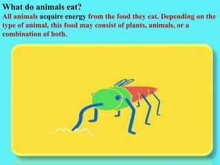 FOOD: WHERE DOES IT COME FROM? - 2 CLASS VI (CBSE) | PPT