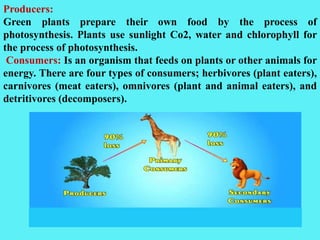 FOOD: WHERE DOES IT COME FROM? - 2 CLASS VI (CBSE) | PPT
