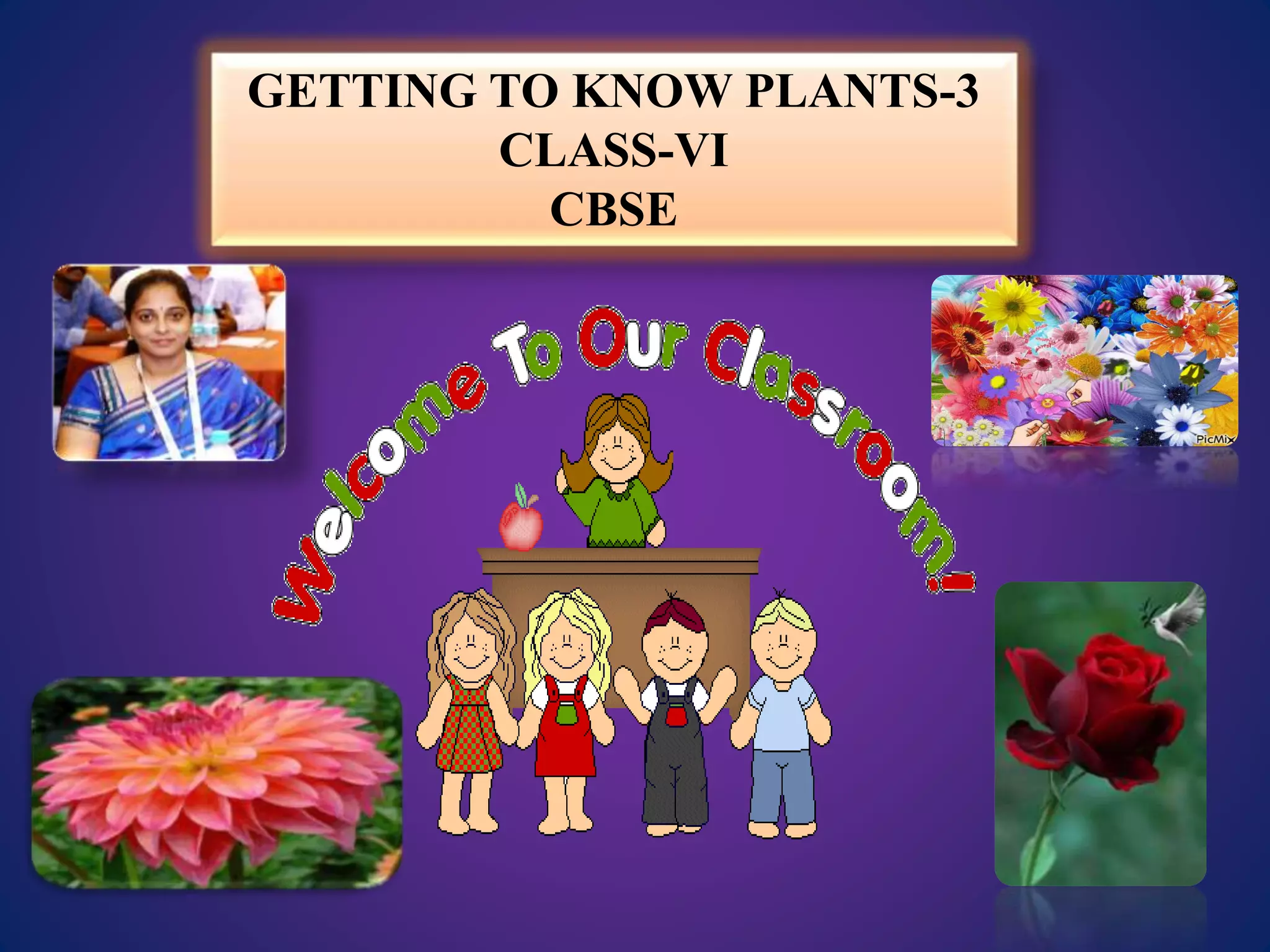 GETTING TO KNOW PLANTS-3 CLASS VI CBSE CHAPTER-7 | PPTX