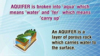 English Vocabulary: The Latin word root 'fer' | PPT