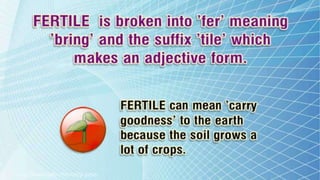 English Vocabulary: The Latin word root 'fer' | PPT