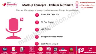 Cellular Automata Projects Research Thesis | PPT