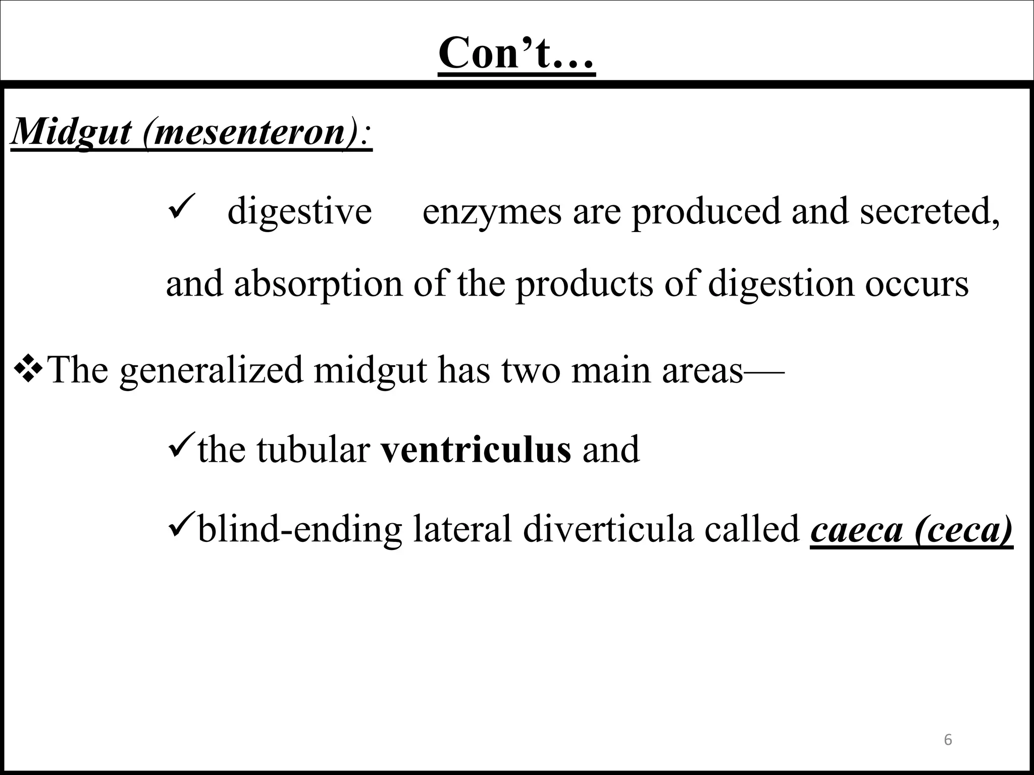 General Entomology (Biol.2032) power point | PPTX