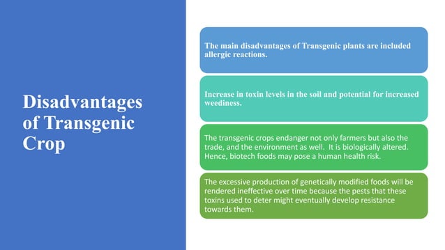 Transgenic crops | PPT