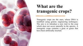 Transgenic crops | PPT