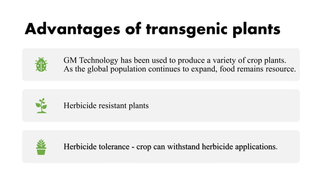 Transgenic crops | PPT