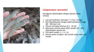 Penstabil Suhu Air Tambak Udang Vaname | PPT | Free Download