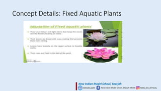 Power Point Presentation- Adaptation of Aquatic Plants.pptx