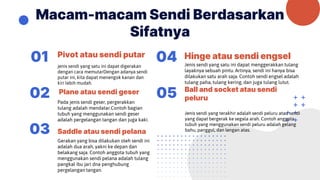 PPT-ALAT GERAK MANUSIA.pptx