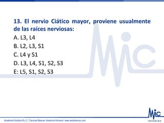 PPT- ANATOMIA-HUMANA.pdf