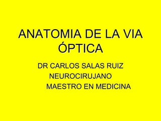 PPT-Anatomia de la via optica.pdf
