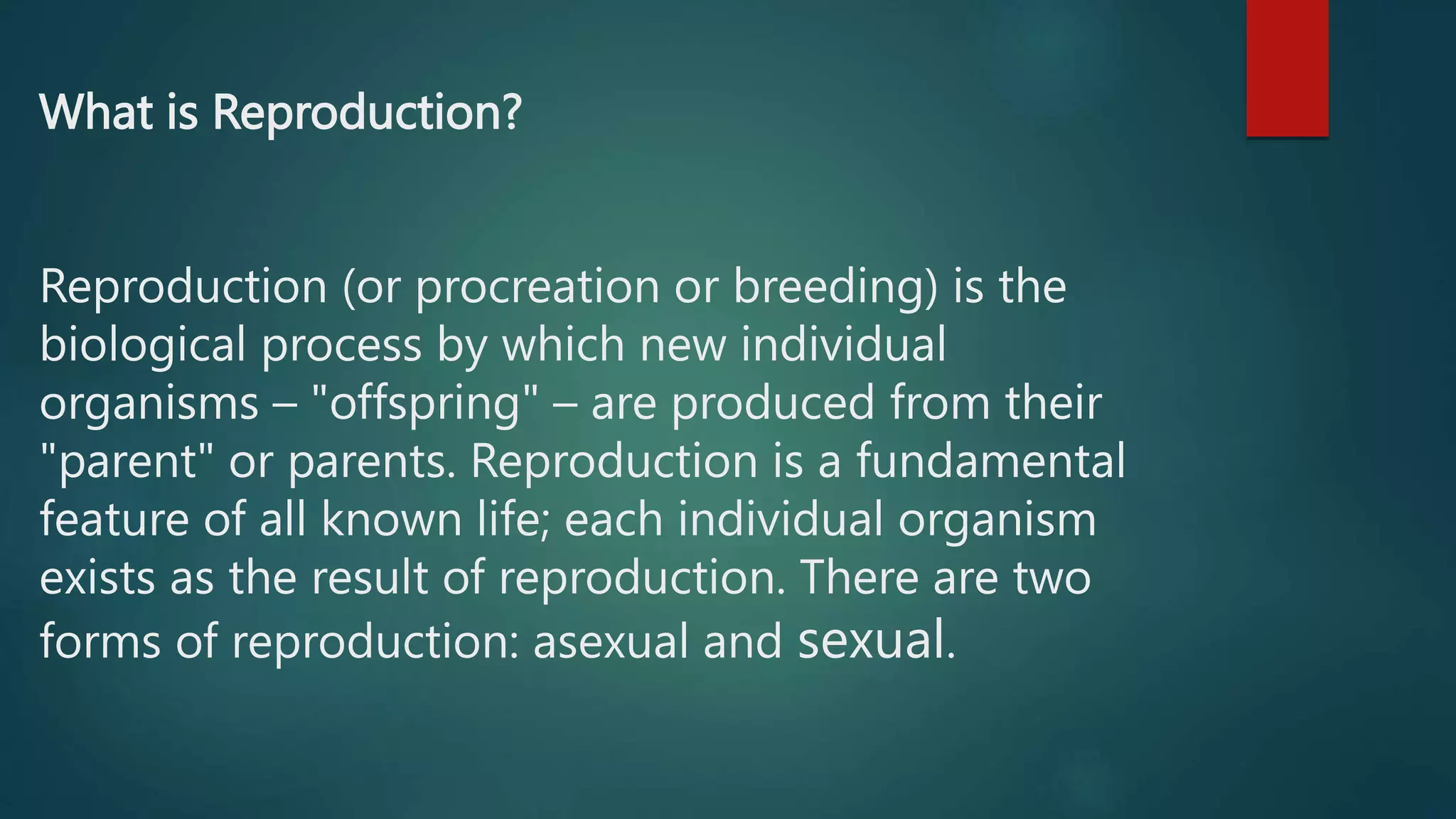 PPT - ANATOMY AND PHYSIOLOGY OF REPRODUCTION AND THE PROCESS OF ...