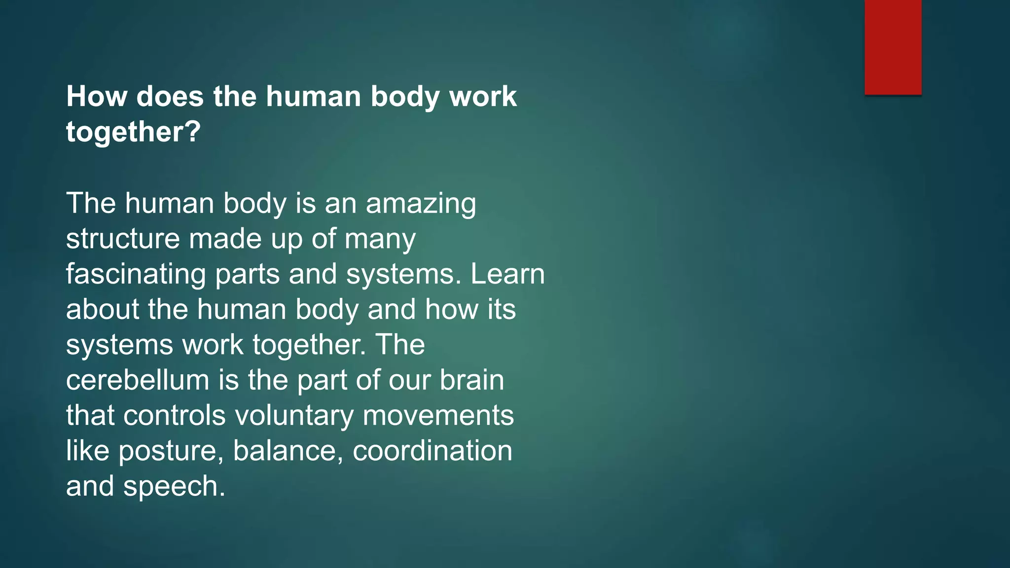 PPT - ANATOMY AND PHYSIOLOGY OF REPRODUCTION AND THE PROCESS OF ...