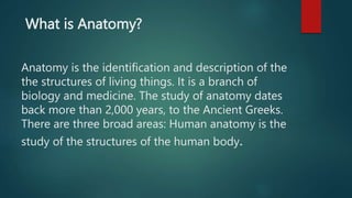 PPT - ANATOMY AND PHYSIOLOGY OF REPRODUCTION AND THE PROCESS OF ...
