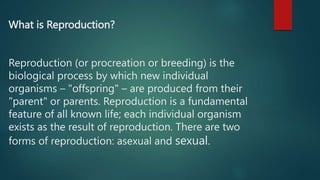 PPT - ANATOMY AND PHYSIOLOGY OF REPRODUCTION AND THE PROCESS OF ...