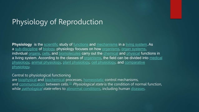 PPT - ANATOMY AND PHYSIOLOGY OF REPRODUCTION AND THE PROCESS OF ...