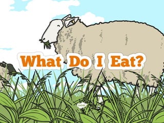 SCIENCEANIMALS AND THE FOOD THEY EAT.ppt
