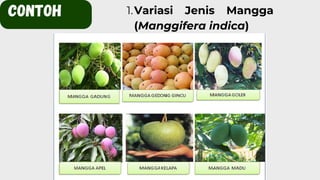 PPT-BAB 1 -Pertemuan 1_Keanekaragaman Hayati tingkat gen,jenis ...