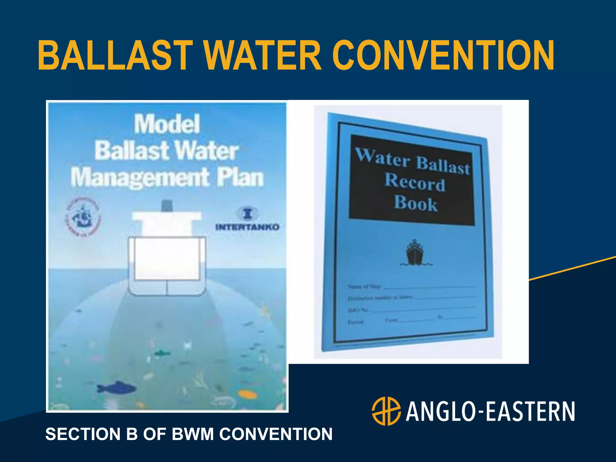 Ballast Water Treatment Systems | PDF