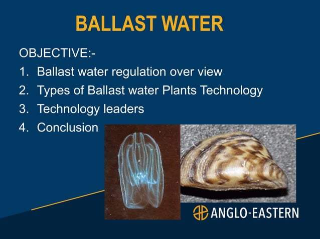 Ballast Water Treatment Systems | PDF