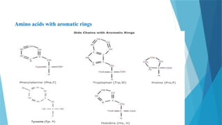 ppt-BIOCHEMISTRY-Amino-Acid this a detailed knowledge on amino group | PPTX